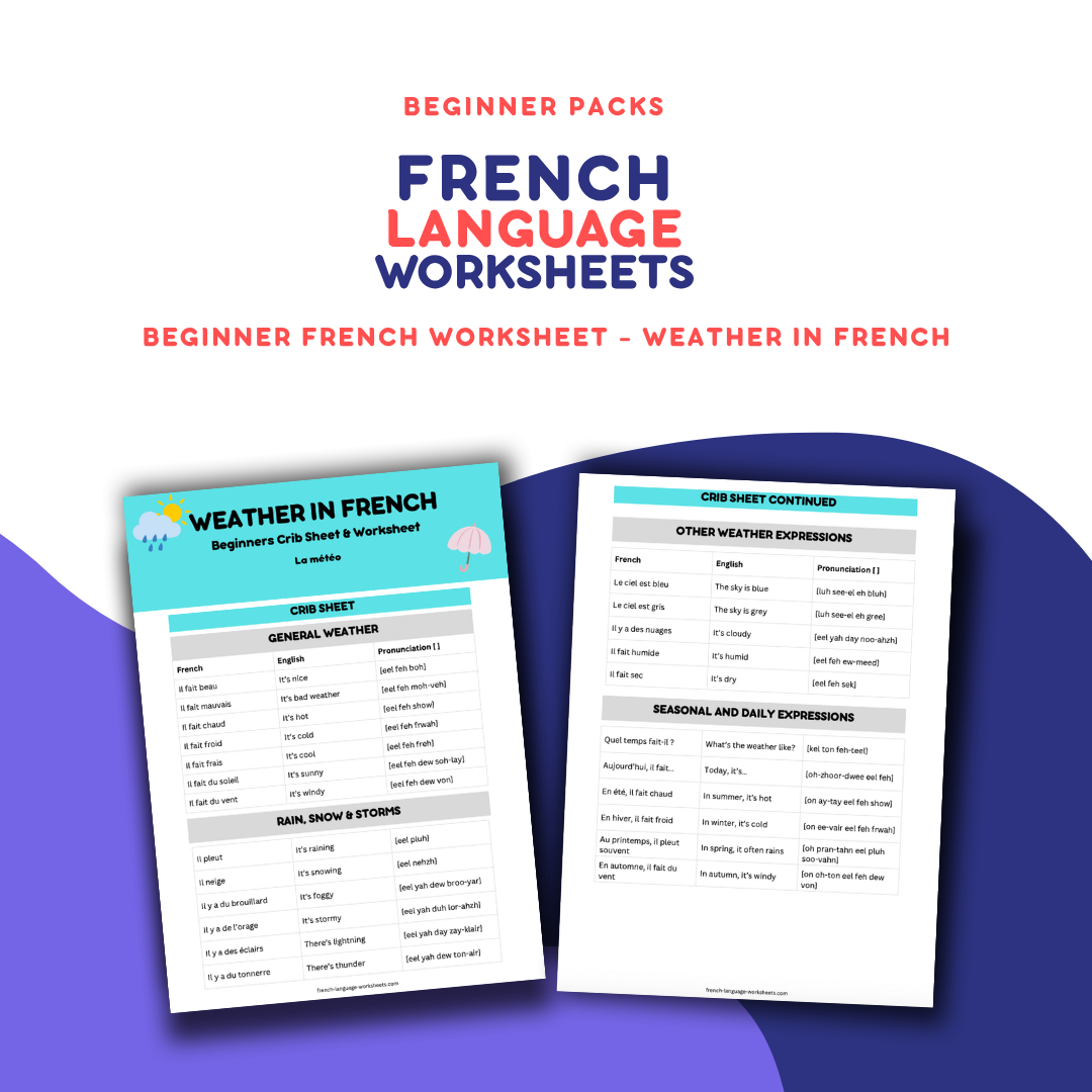 French Weather Worksheet - Beginner Printable PDF – French Language ...