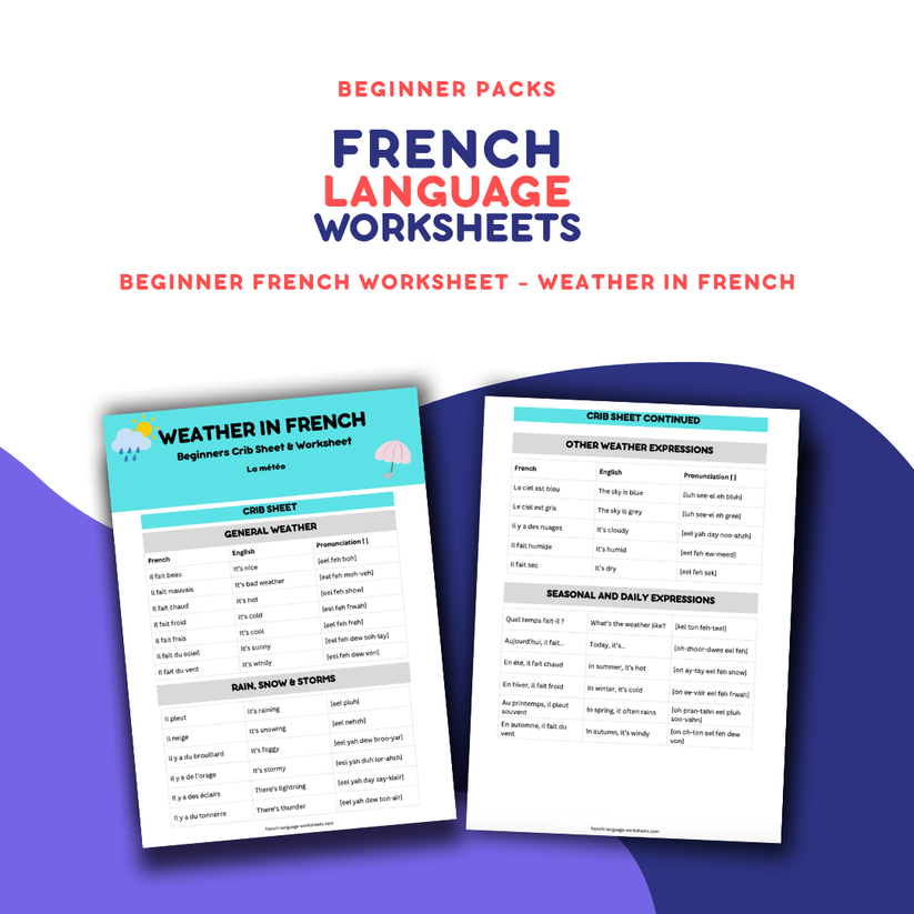 French Weather Worksheet - Beginner Printable PDF – French Language ...